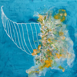 María Coluccelli - Webflow